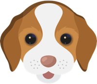 Join Inquisitive | US