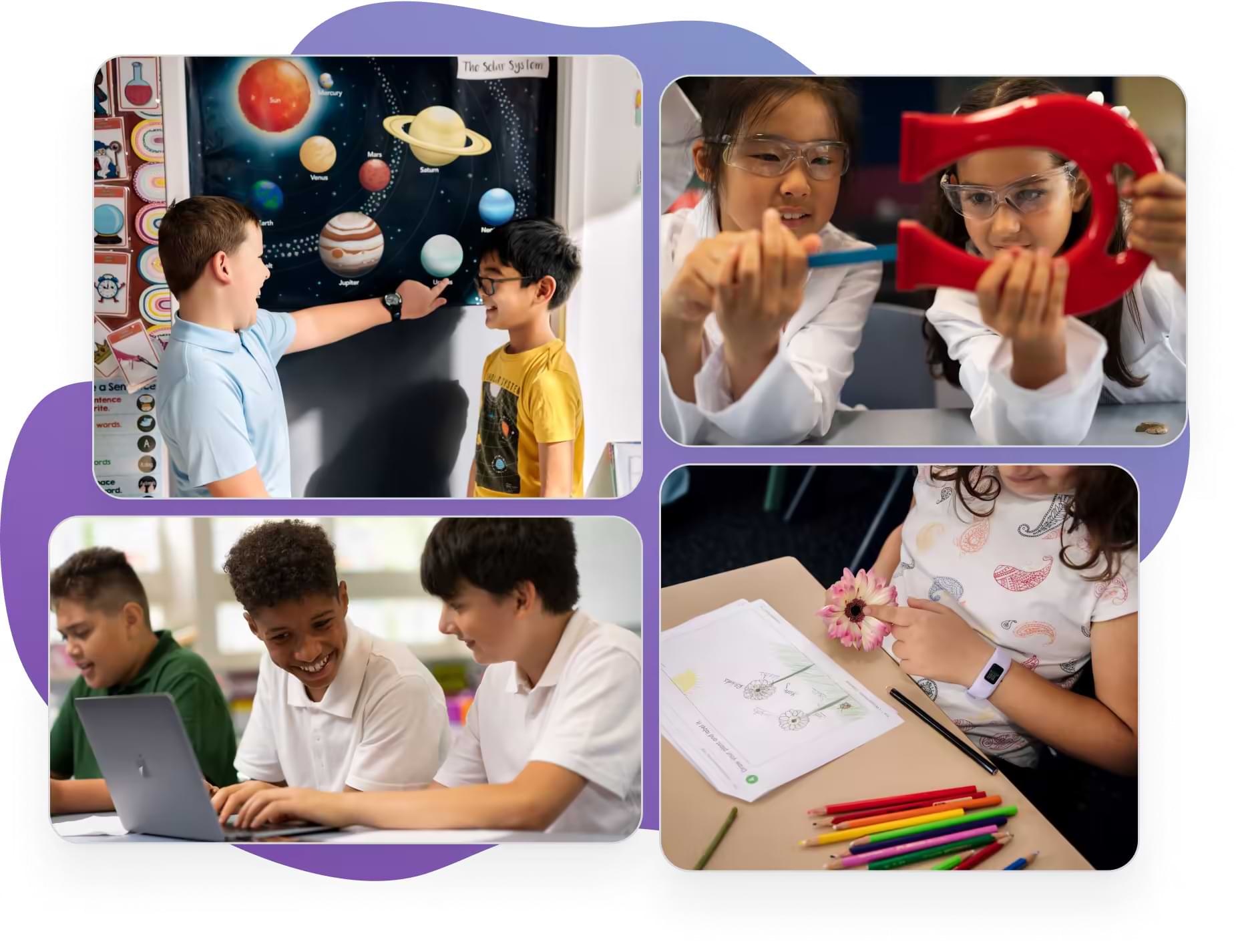 Inquisitive | Elementary Science Curriculum Made Easy | US