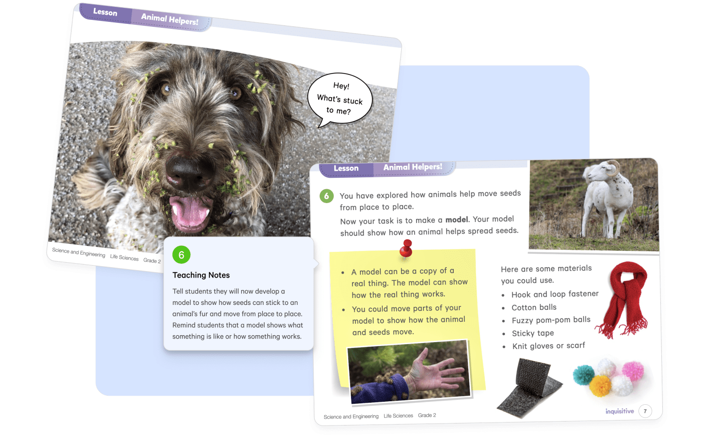 Teacher Resources: Science | Inquisitive US